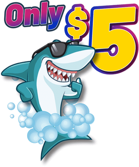 Join the Unlimited Club - Soapy Shark Car Wash