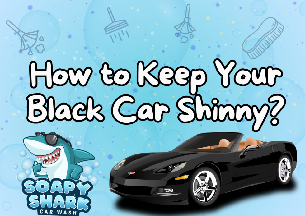How to Keep a Black Car Clean – Expert Tips from Soapy Shark - Soapy ...
